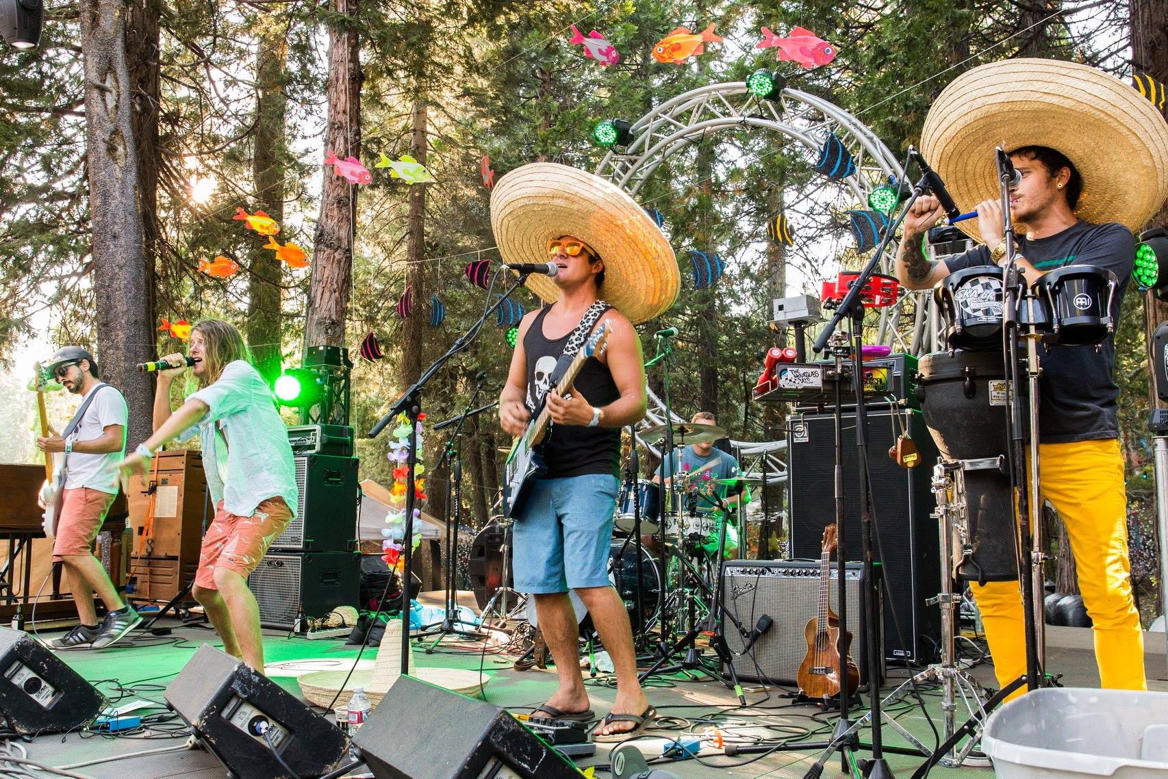 37 California Music Festivals That'll Keep You Dancing All Year Long